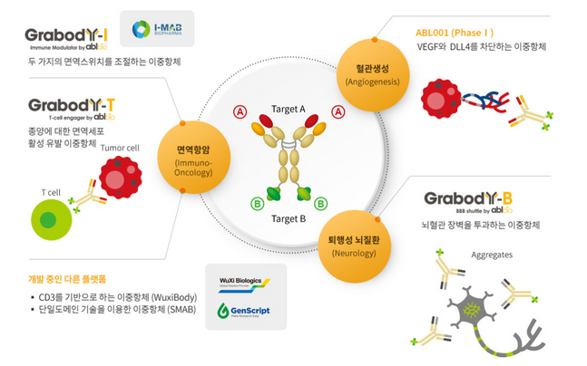 에이비엘바이오 '그랩바디-B' 조 단위 기술수출 가시화
