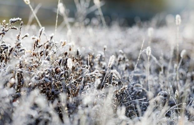 [내일(13일) 날씨] 비 그치고 기온 '뚝'…"체감온도 낮아요"